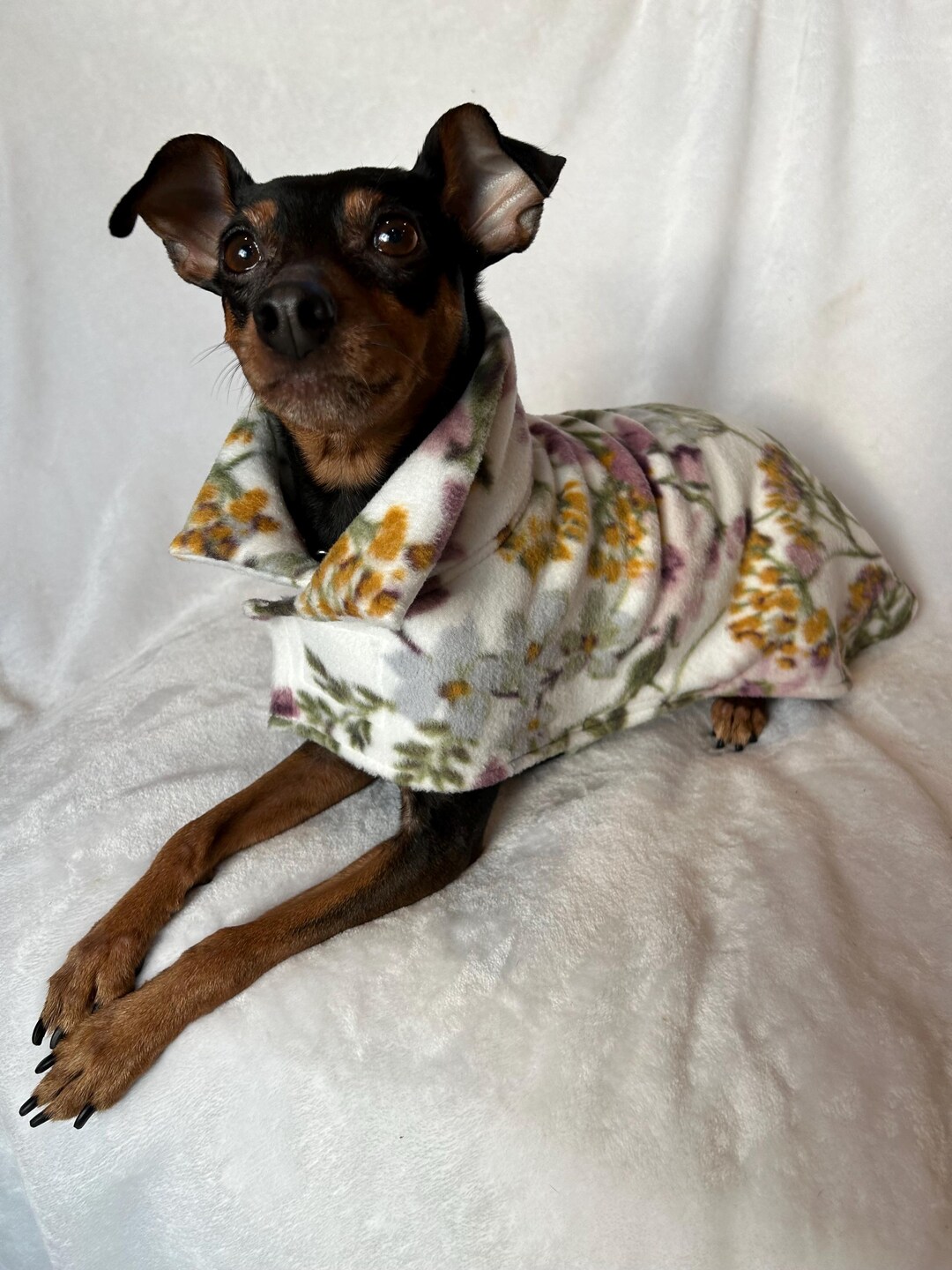Adjustable Comfort Wrap Poncho- Dog Coat - Small Breed Dog Sweater ...