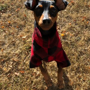 Lumberjack - Small Breed Dog Coat - Poncho - Etsy