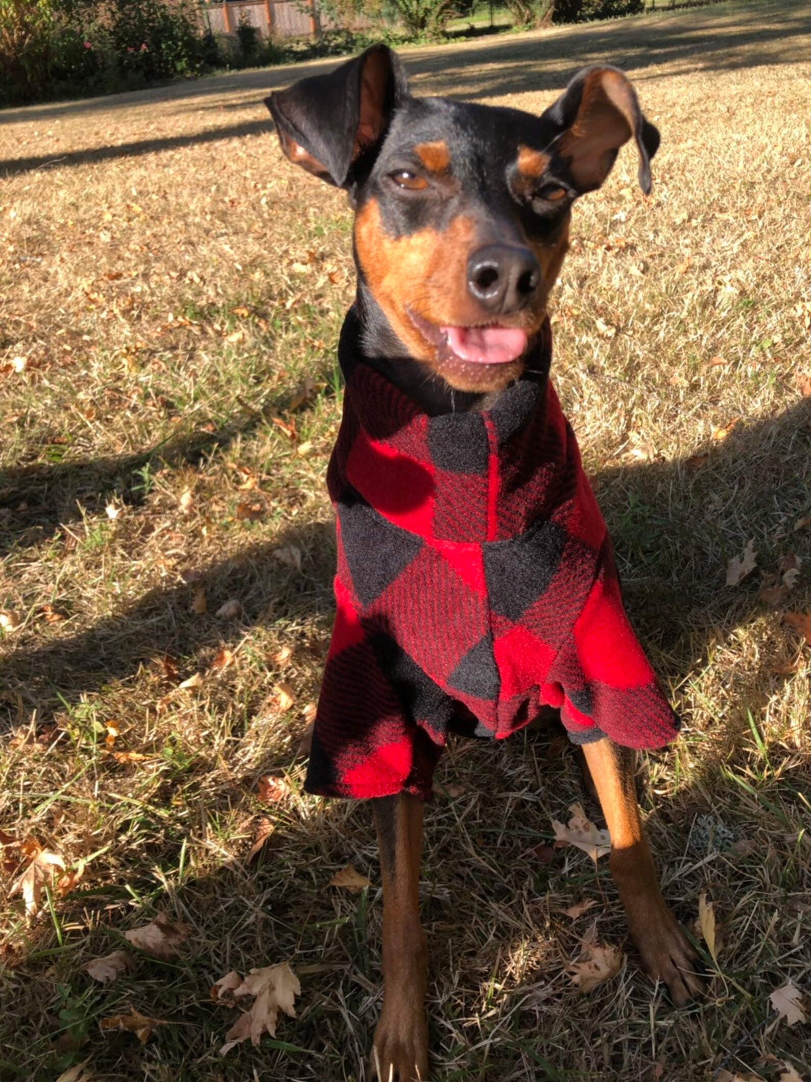 Lumberjack Small Breed Dog Coat Poncho | Etsy