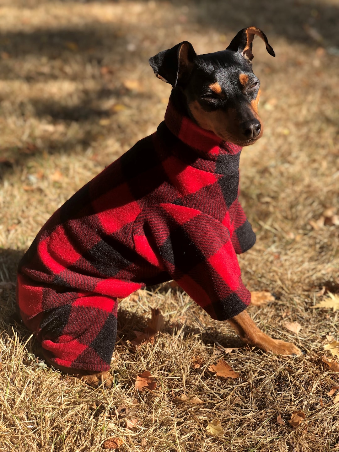 Lumberjack - Dog Pajamas - Small Breed Dog Sweater - Etsy