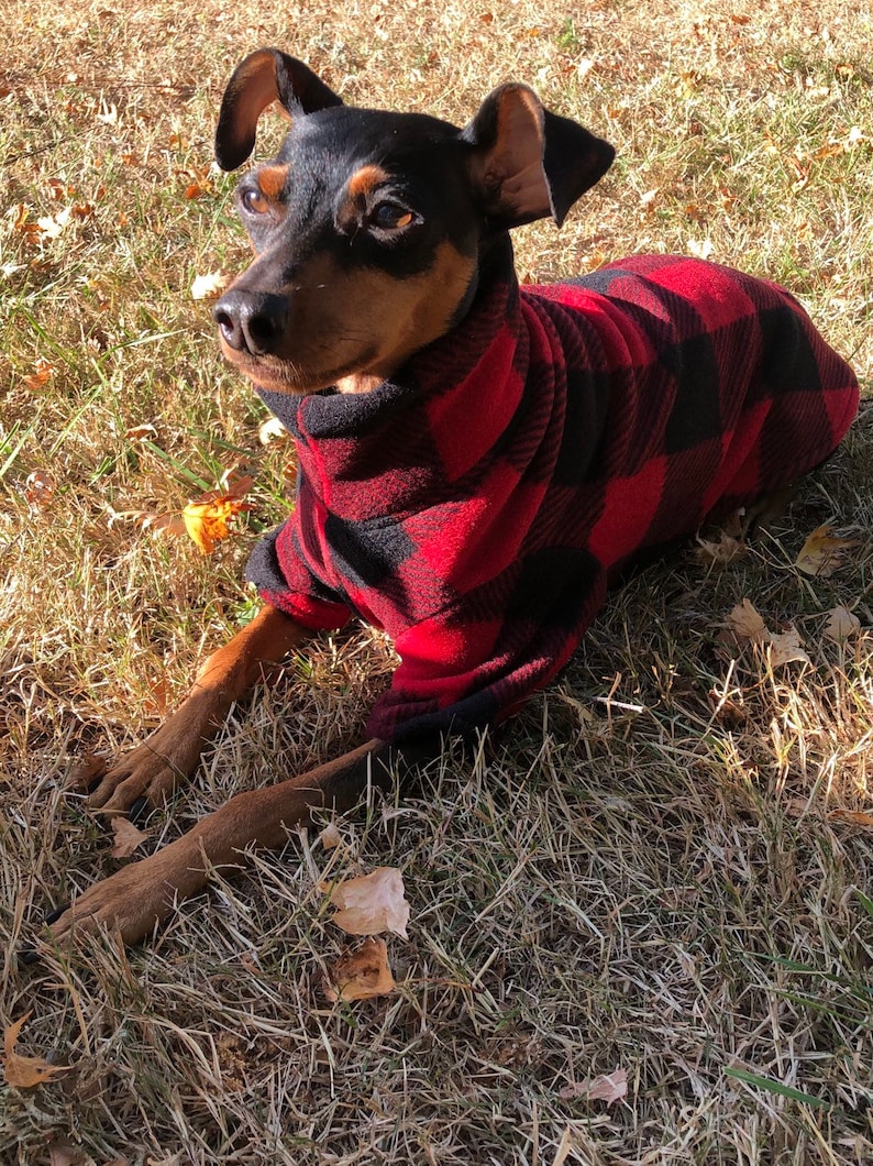 Lumberjack Small Breed Dog Coat Poncho | Etsy