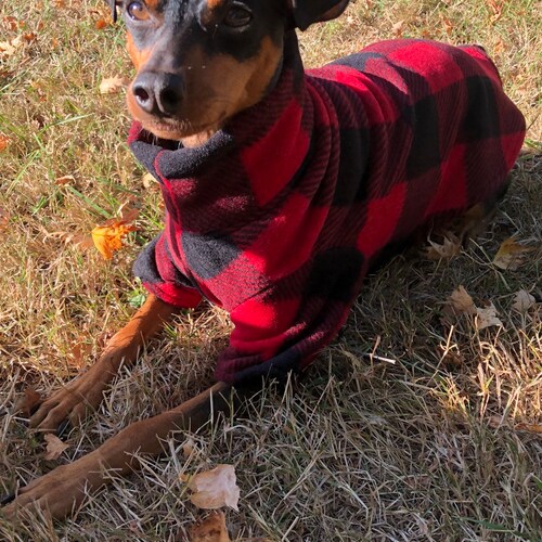 Lumberjack Small Breed Dog Coat Poncho | Etsy