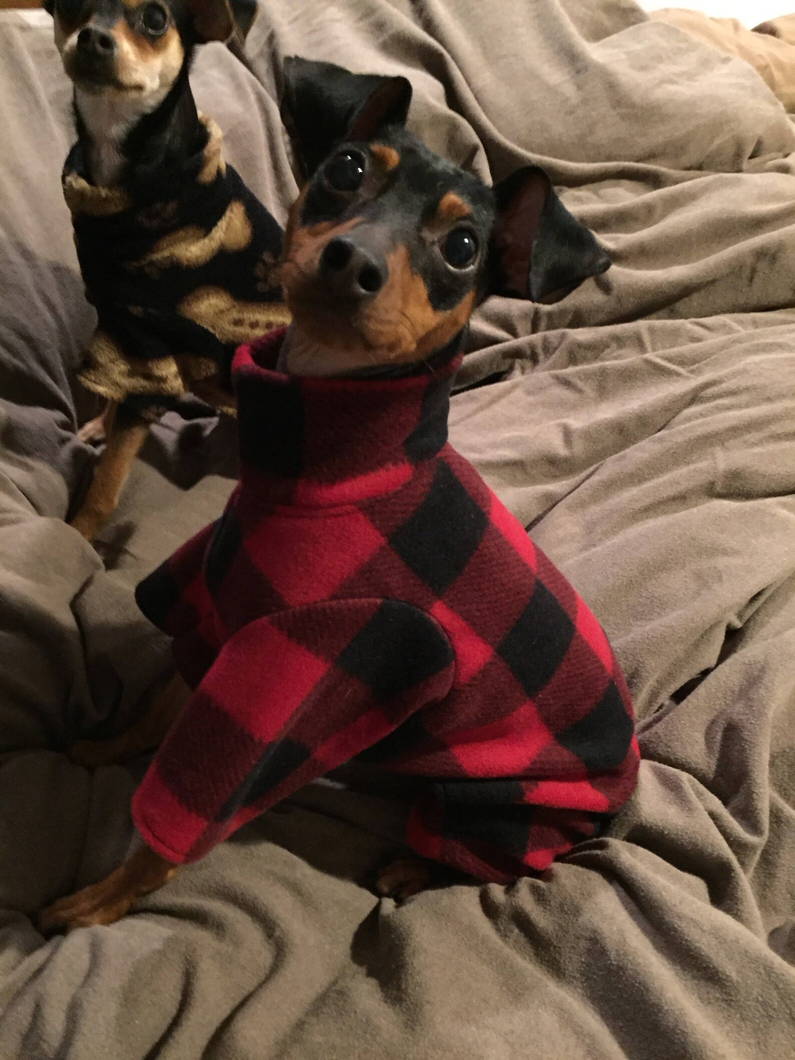 Lumberjack Dog pajamas small breed dog sweater | Etsy