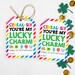 St Patricks Day Lucky Charm Tag, You're My Lucky Charm Cereal Label, St ...