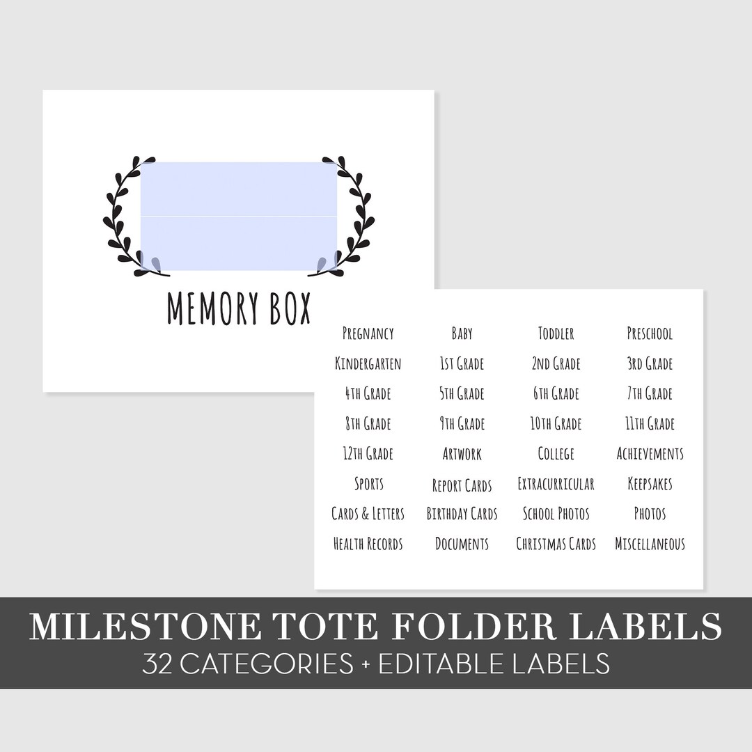 DIY Memory Box Kit, Editable File PDF Milestone Tote Labels, Baby ...