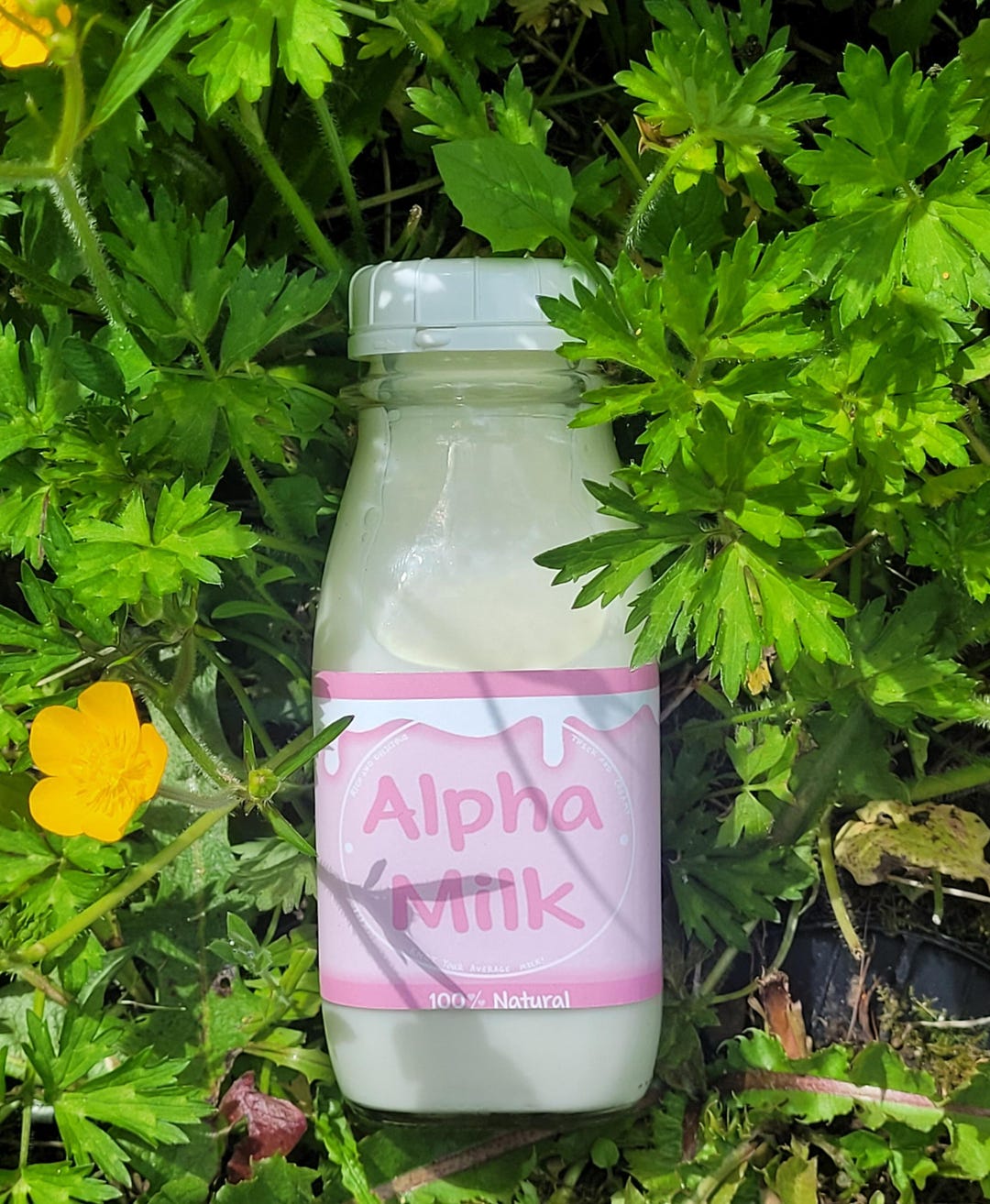 Alpha Milk Bottle - Etsy