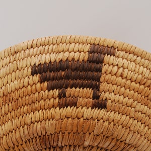 Tohono O'odham Papago Basket Native American Bird Animal Effigy ...