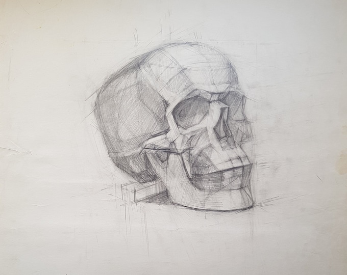 Original Skull Drawing,academic Anatomy Drawing,vintage Pencil Drawing ...