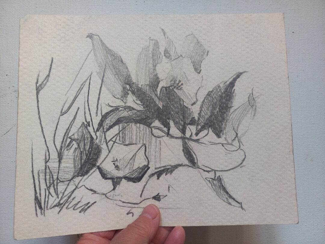 Vintage | Graphite Pencil Drawing | Nasturtium Sketch |ink and Pen ...