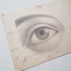 Original eye drawingacademical anatomy drawingVintage pencil | Etsy