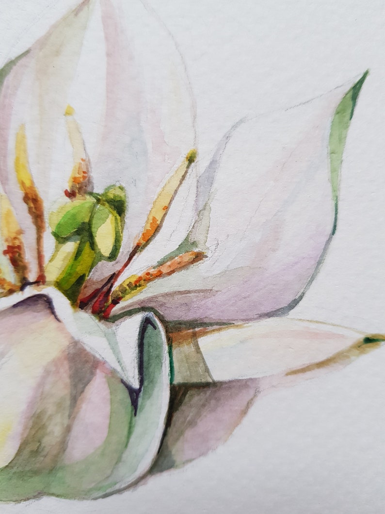 Floral Fine Art Original Botanical Watercolor PaintingWhite | Etsy