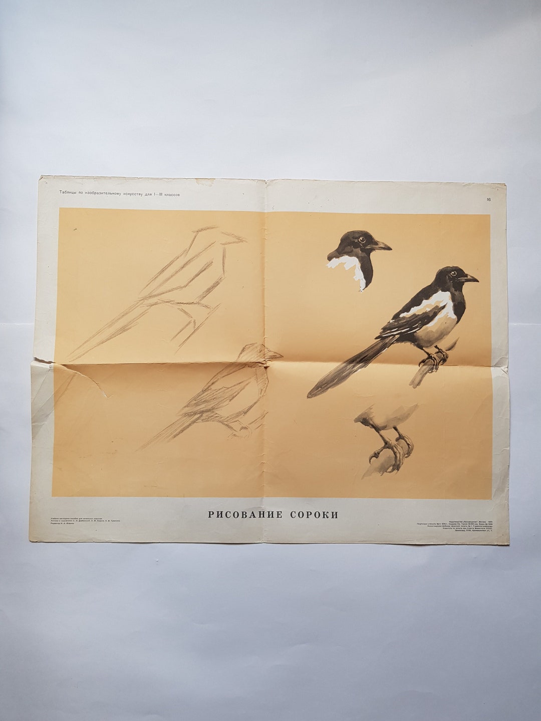 Vintage 1972, Original Poster Drawing Magpie, Vintage, Drawing Table ...