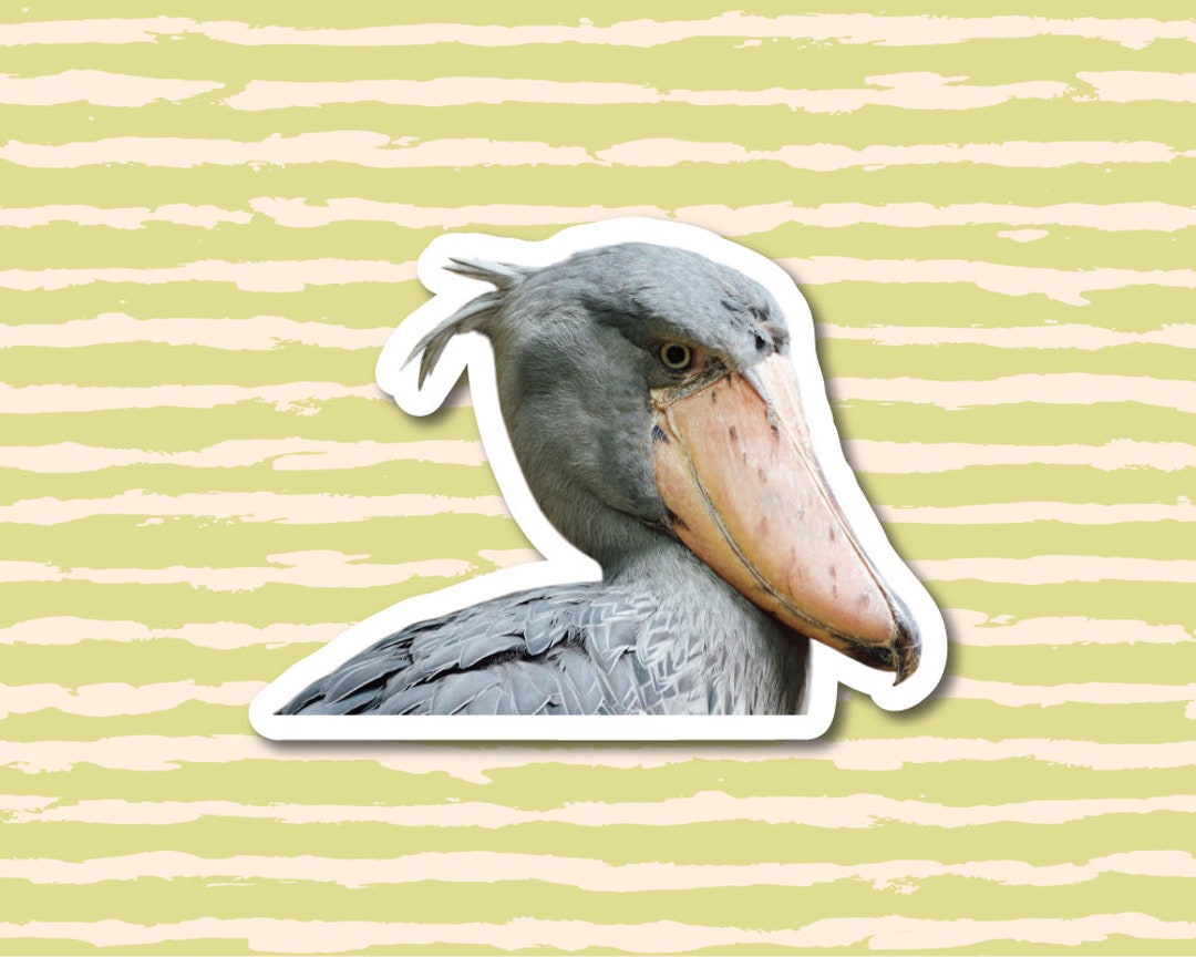 Shoebill Stork Sticker Laptop Sticker Vinyl Sticker Waterproof Water ...