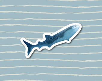 Fairy Whale Shark Vinyl Sticker Whale Sticker Water Bottle, Laptop ...