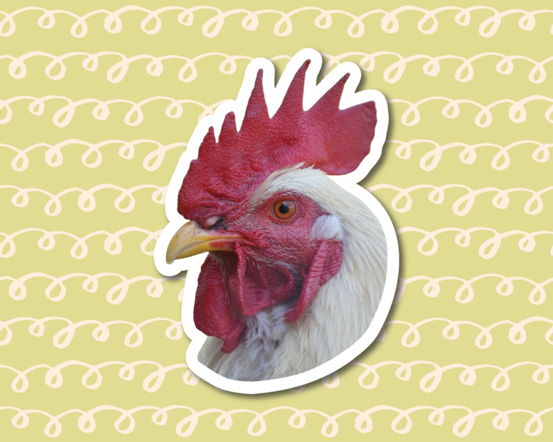 Chicken Head Sticker Laptop Sticker Vinyl Sticker Waterproof Water ...