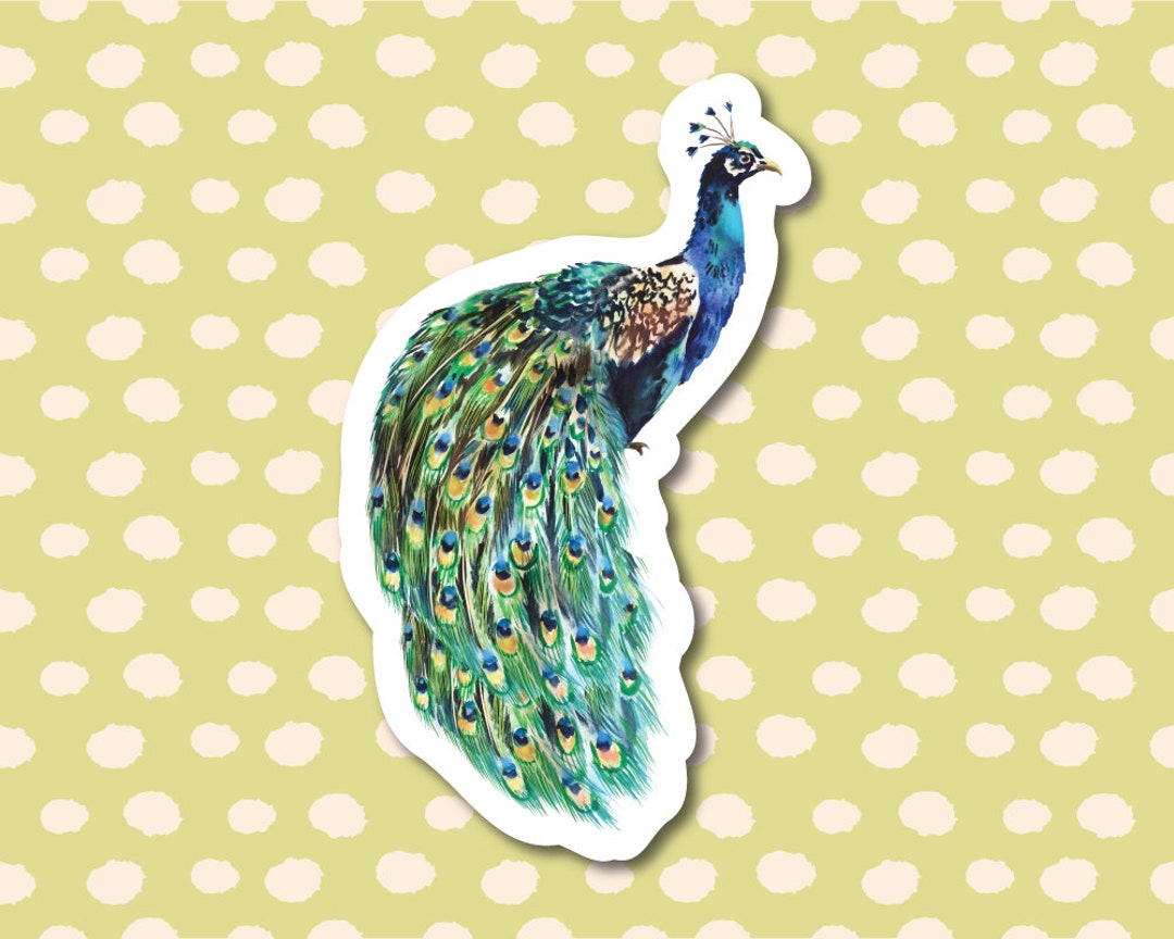 Peacock Watercolor Sticker Laptop Sticker Vinyl Sticker Waterproof Water Bottle Sticker Etsy