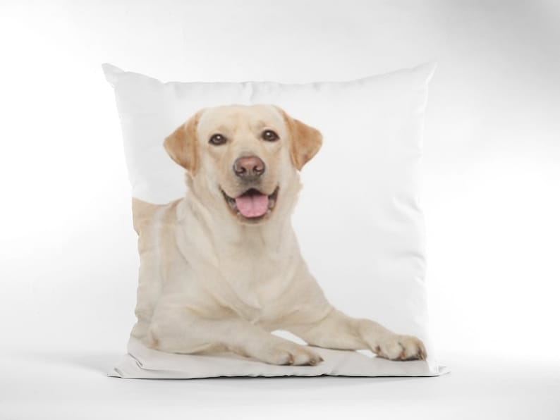 Double Sided Custom Pet Photo Pillow, Personalised Cushion With Inner ...