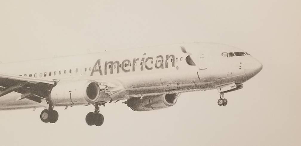 American Airlines 737 Custom Art Print for Pilot, Flight Attendant ...