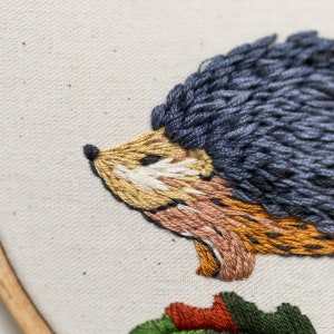 Hand Embroidery - HEDGEHOG Pattern, Beginner Video Tutorials, PDF ...