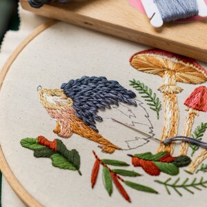 Hand Embroidery - HEDGEHOG Pattern, Beginner Video Tutorials, PDF ...