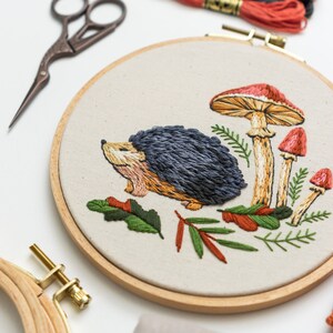 Hand Embroidery - HEDGEHOG Pattern, Beginner Video Tutorials, PDF ...