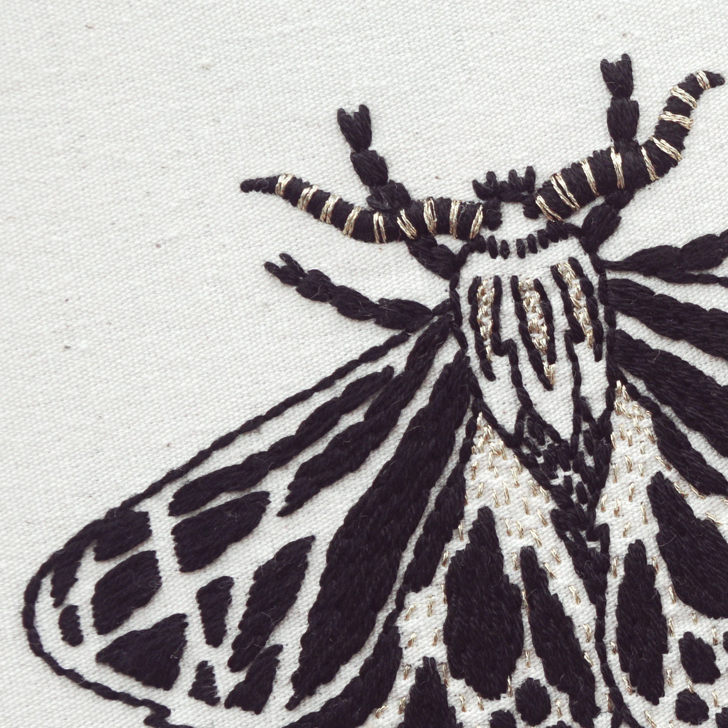 Hand Embroidery Pattern the Moth Beginner Embroidery PDF - Etsy