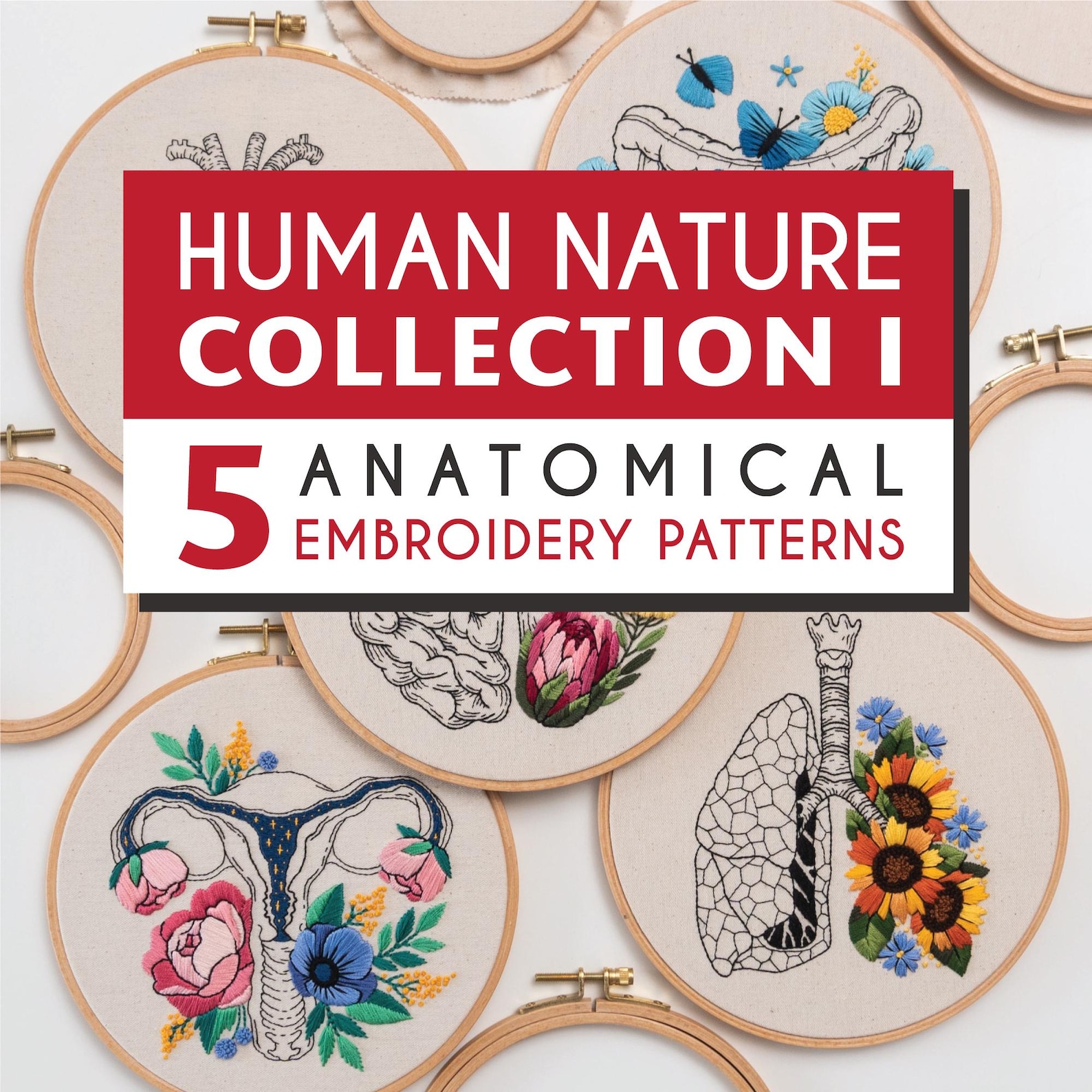 Embroidery Bundle - Human Anatomy Patterns PDF, Video Tutorials ...