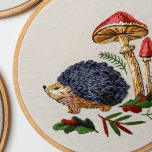Hand Embroidery - HEDGEHOG Pattern, Beginner Video Tutorials, PDF ...