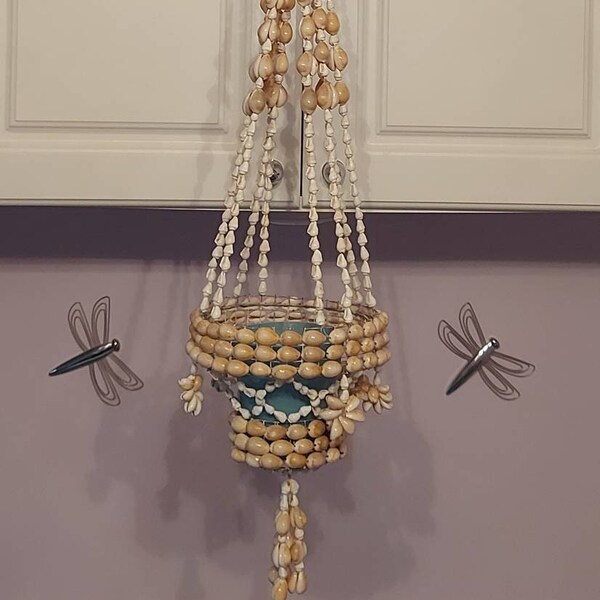 Shell Planter - Etsy