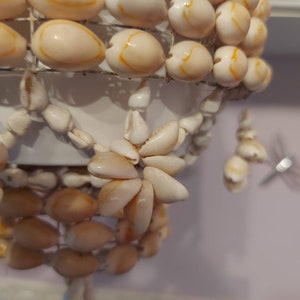 Cowrie Shell Plant Hanger/vintage Cowrie Shell Hanging Planter/retro ...