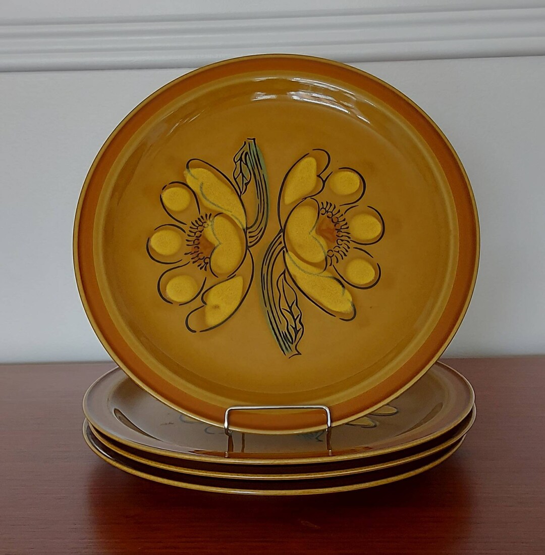 Vintage Calypso Stoneware Dinner Plates/international Stoneware Calypso ...