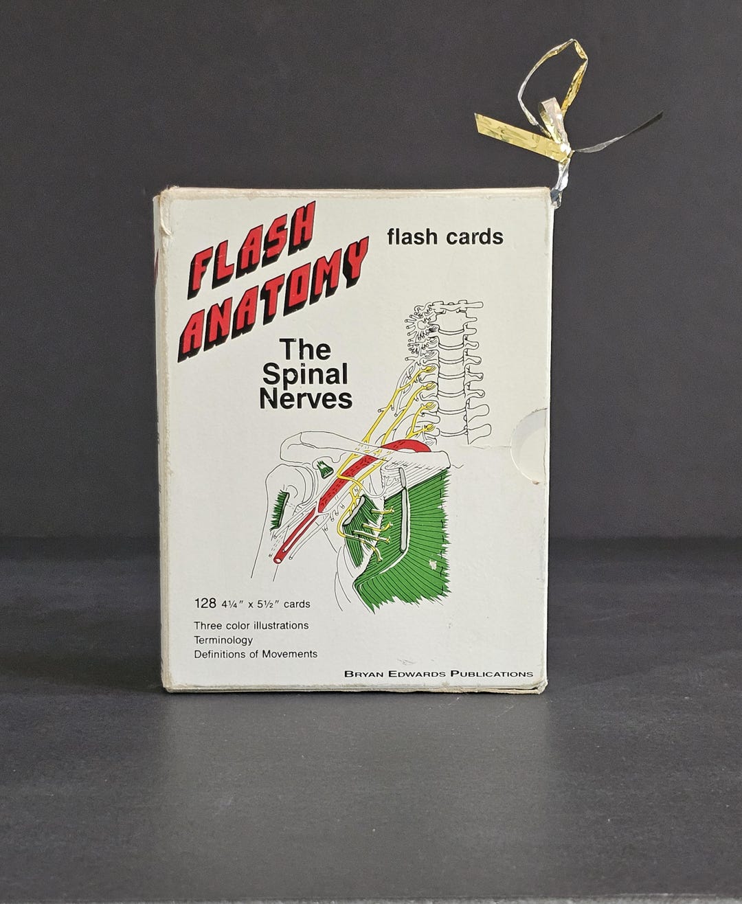 Vintage Flash Anatomy Medical Flash Cards the Spinal Nerves/medical ...
