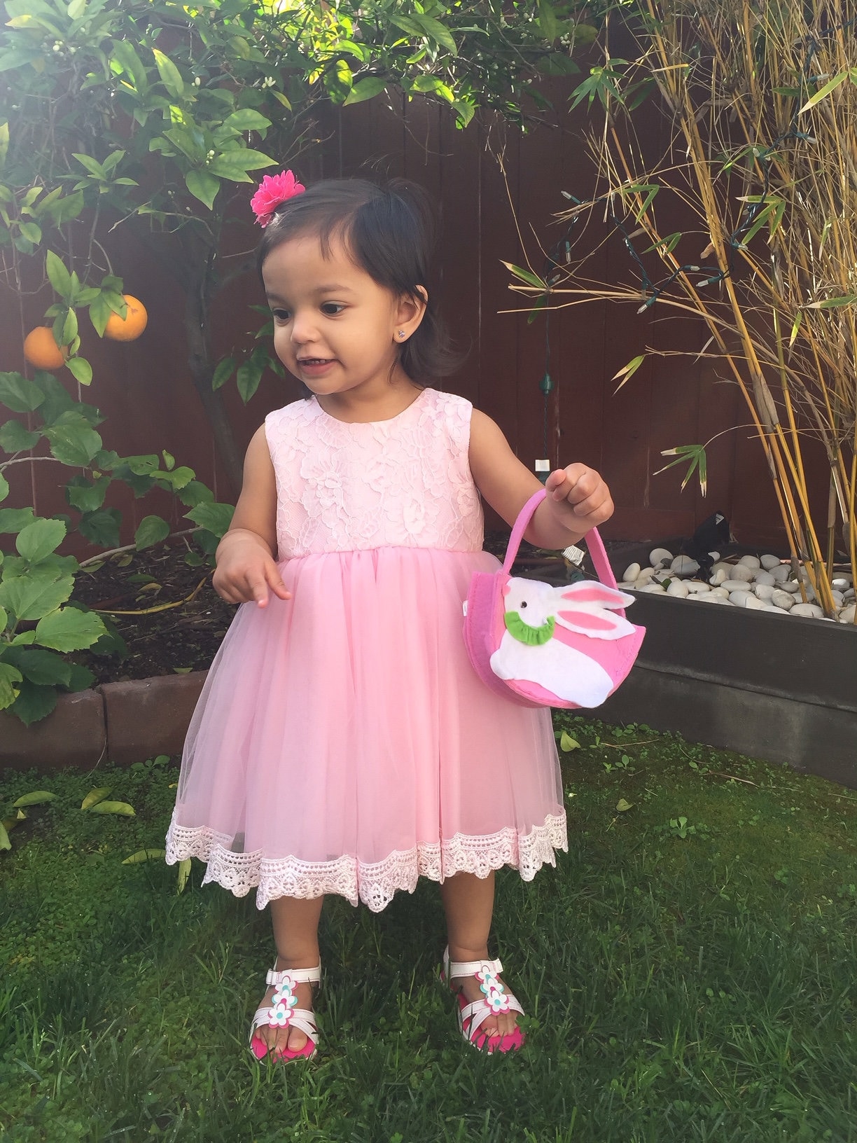 Girls Pink Lace Birthday Dress, Baby Pink Tulle Dress, Flower Girl ...