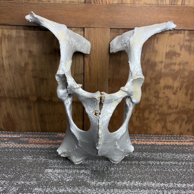 Bone Mask - Etsy