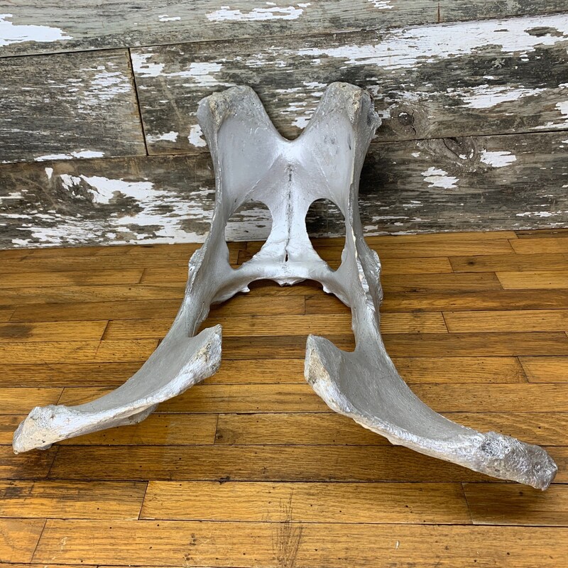 Bone Mask - Etsy