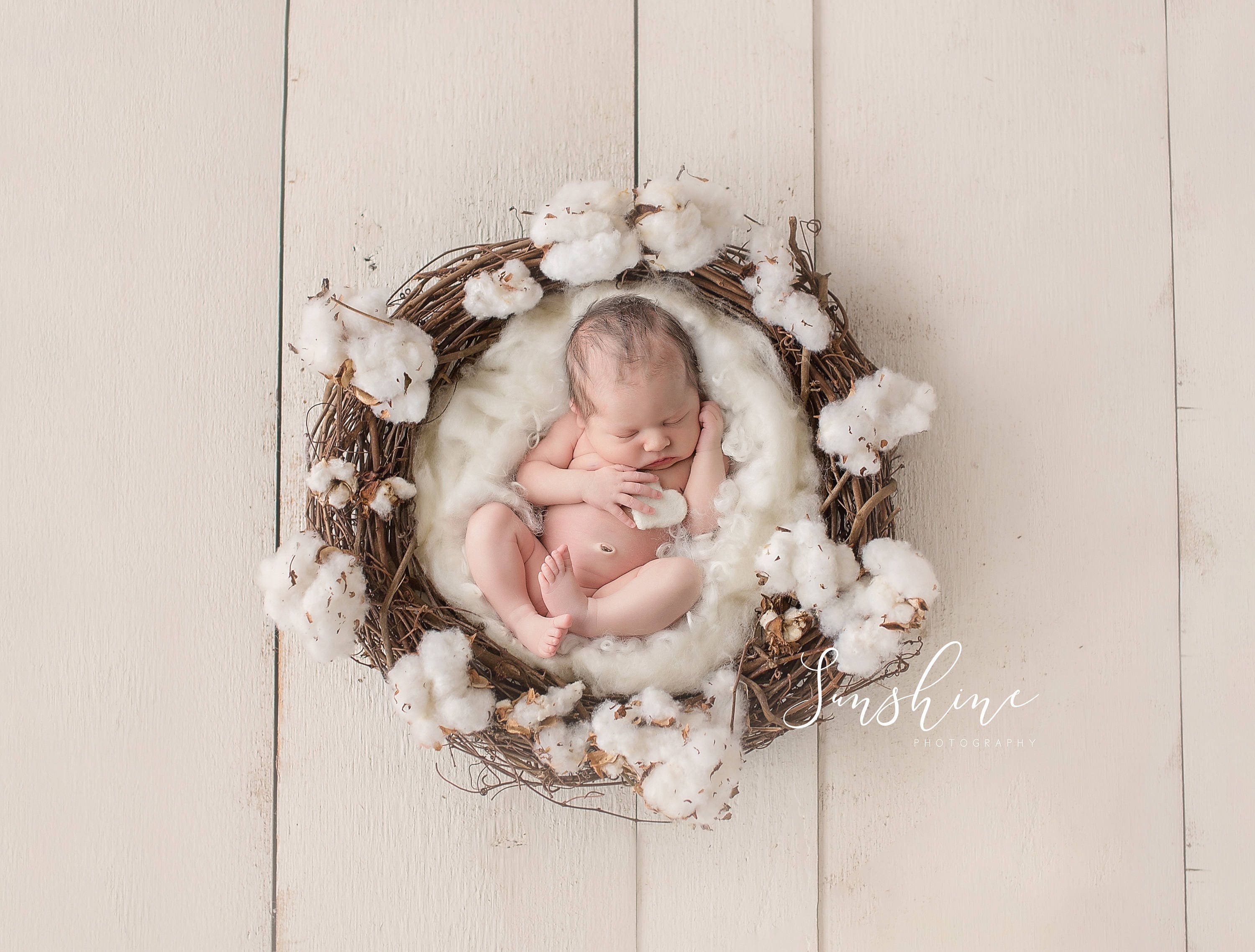 Newborn Photography Digital Background Prop Cotton | Etsy