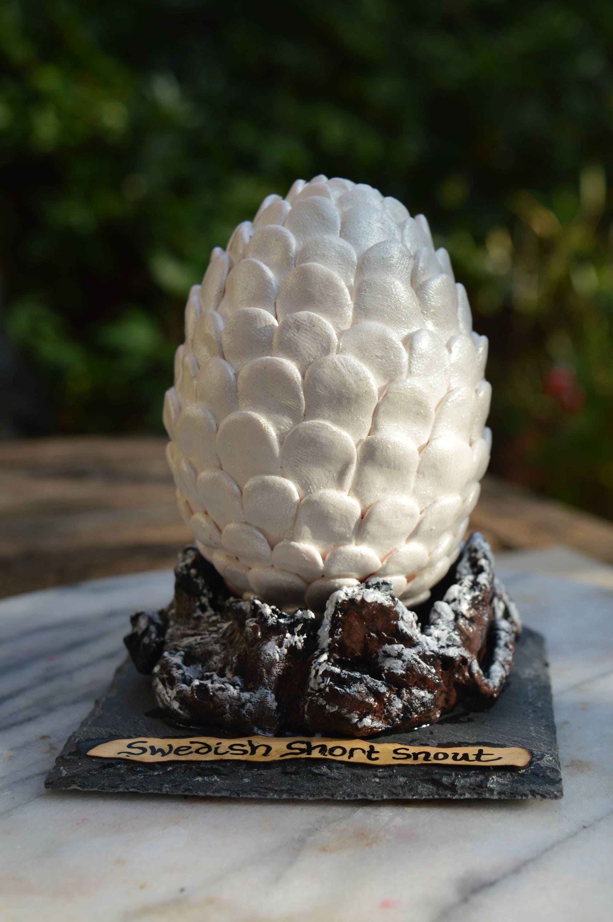 Swedish Short Snout Dragon