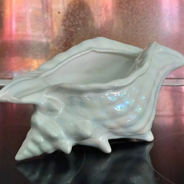 Conch Shell Planter - Etsy