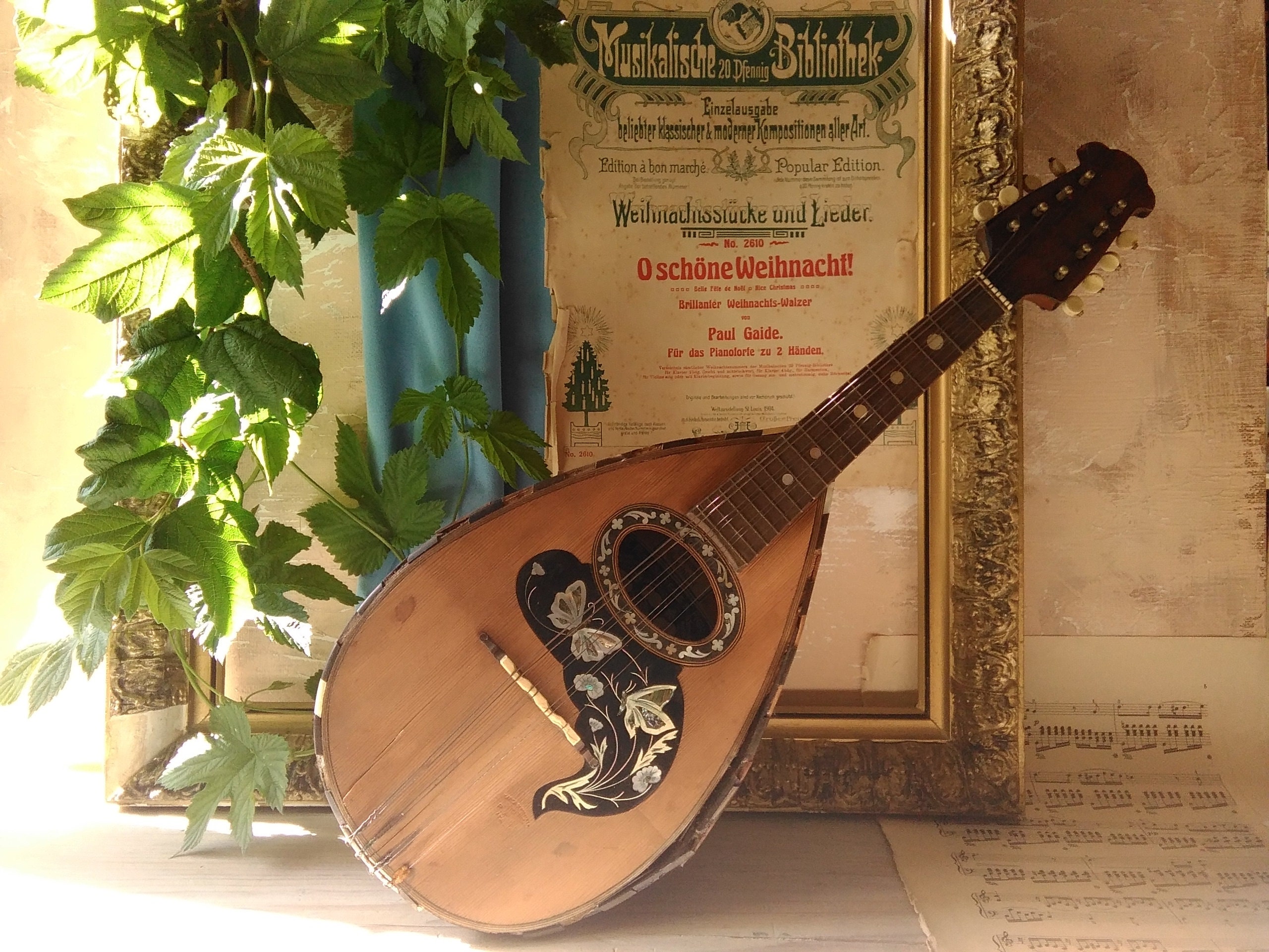 Old Mandolin for sale | Only 2 left at -70%
