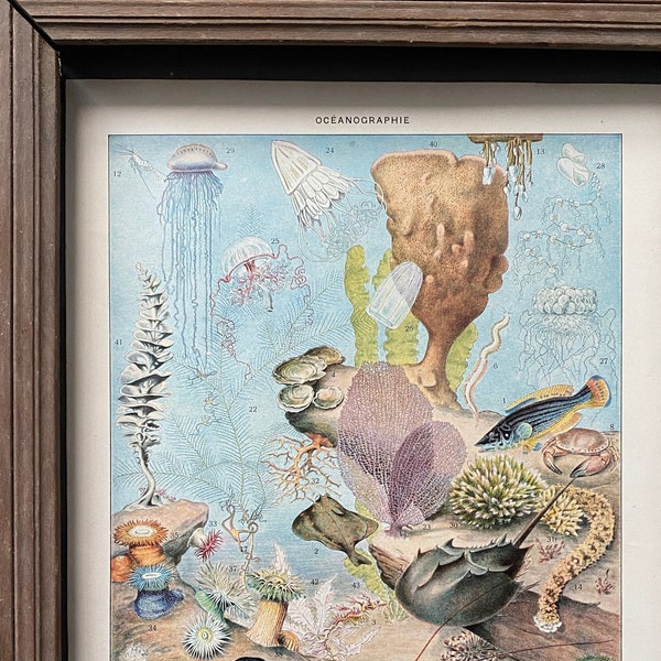 Oceanography Poster - Etsy