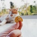 Purrsant, the Cat Croissant Enamel Pin A Cute Pin Design for Cat Lovers ...