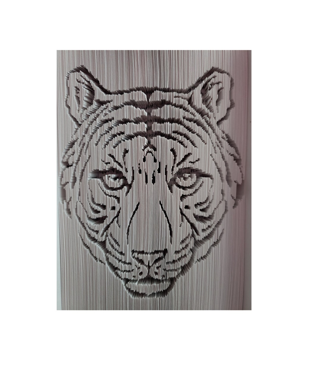 Tiger Book Art Book Fold Pattern Motif découpé et plié pour un livre de ...