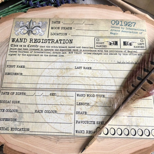 Wand Permit Wand Registration Certificate Magic Wand Permit | Etsy Canada