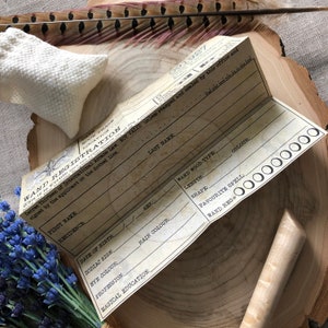 Wand Permit, Wand Registration Certificate, Magic Wand Permit - Etsy Canada