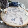 Wand Permit, Wand Registration Certificate, Magic Wand Permit - Etsy Canada