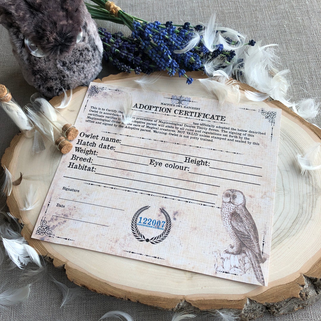 Owl Adoption Certificate, Owl Certificate, Instant Download - Etsy