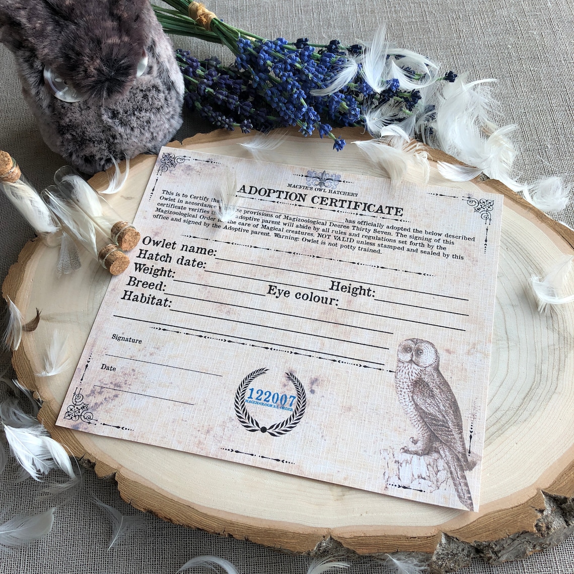 Owl Adoption Certificate Owl Certificate Instant Download | Etsy Canada
