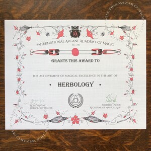 Magical Certificate Set, Magical Diploma and Award Set - Etsy