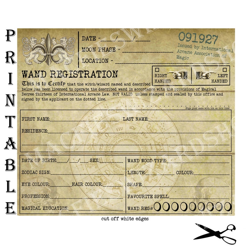 Wand Permit Wand Registration Certificate Magic Wand Permit - Etsy Canada