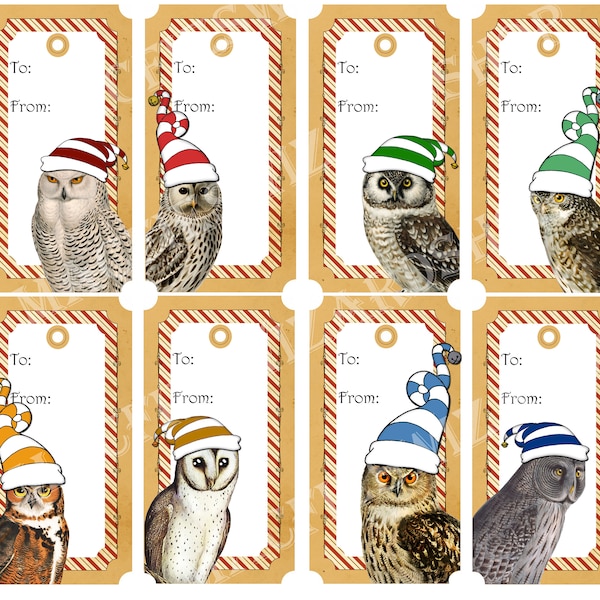 Owl Christmas Gift - 60+ Gift Ideas for 2023